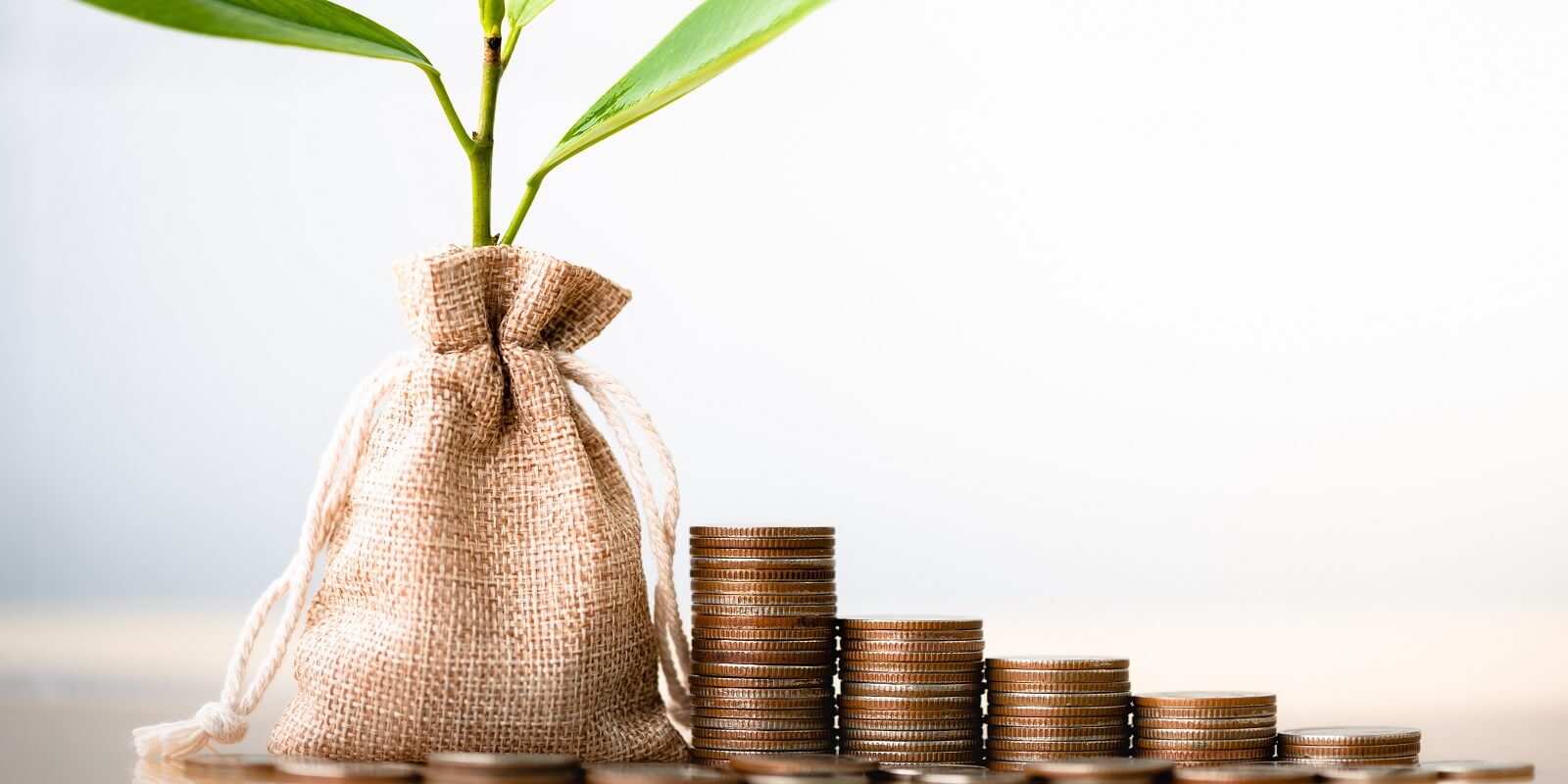 Annuity Vs Life Insurance: What's the Difference? | Pillar Life Insurance